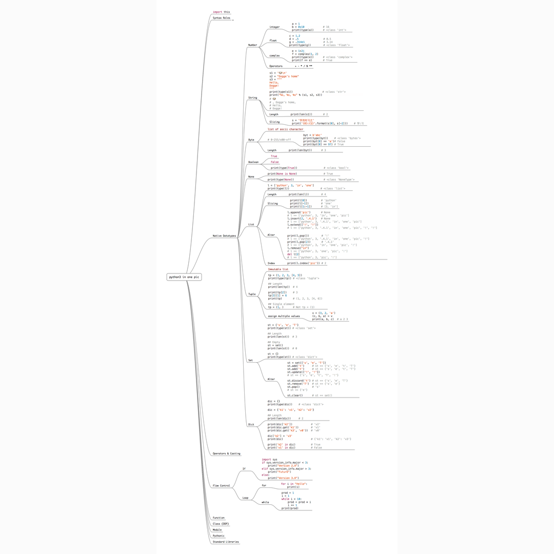 Python 3 In One Pic