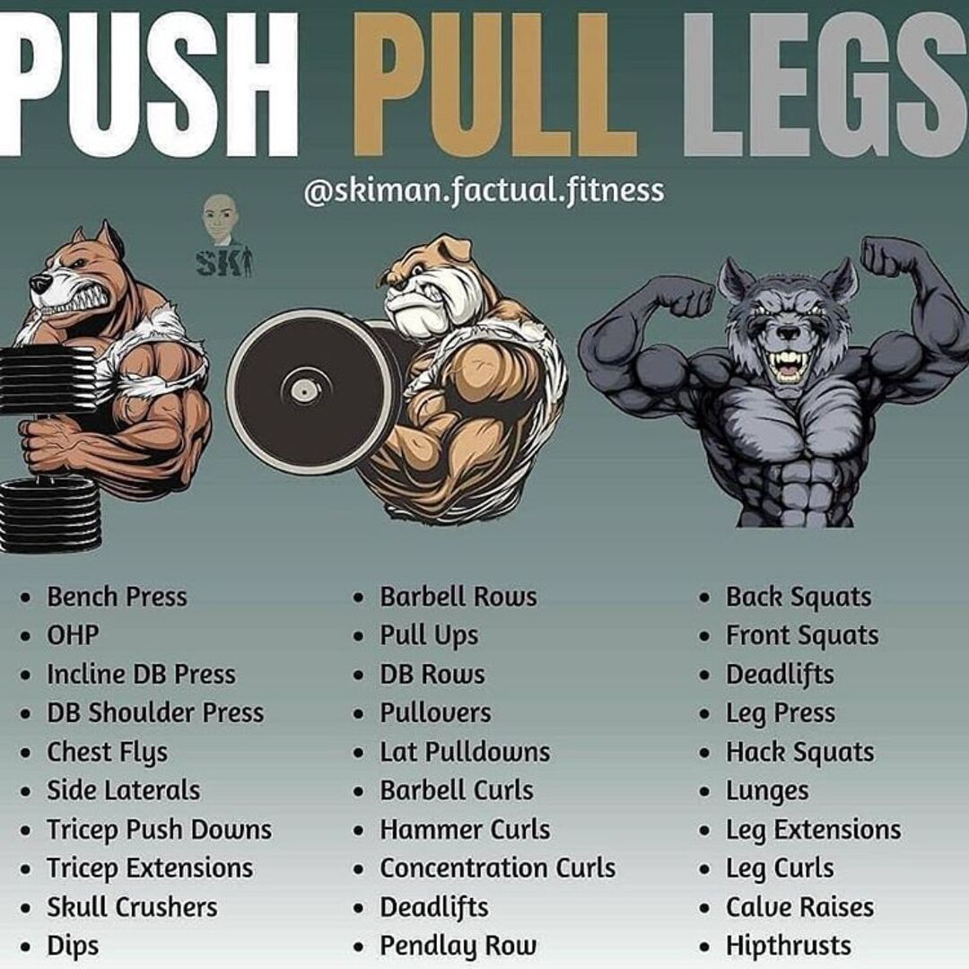 Push Pull Legs