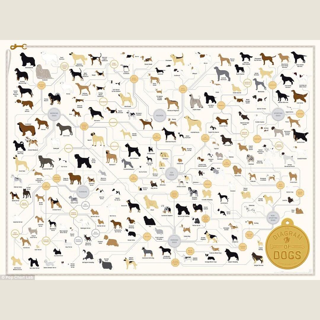 The ultimate dog family tree.