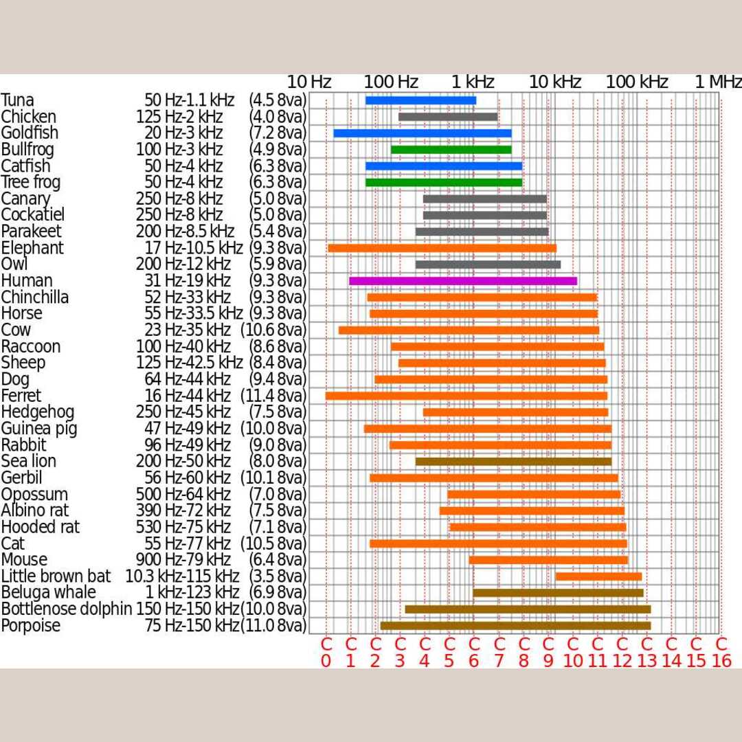 Hearing spectrum for different animals