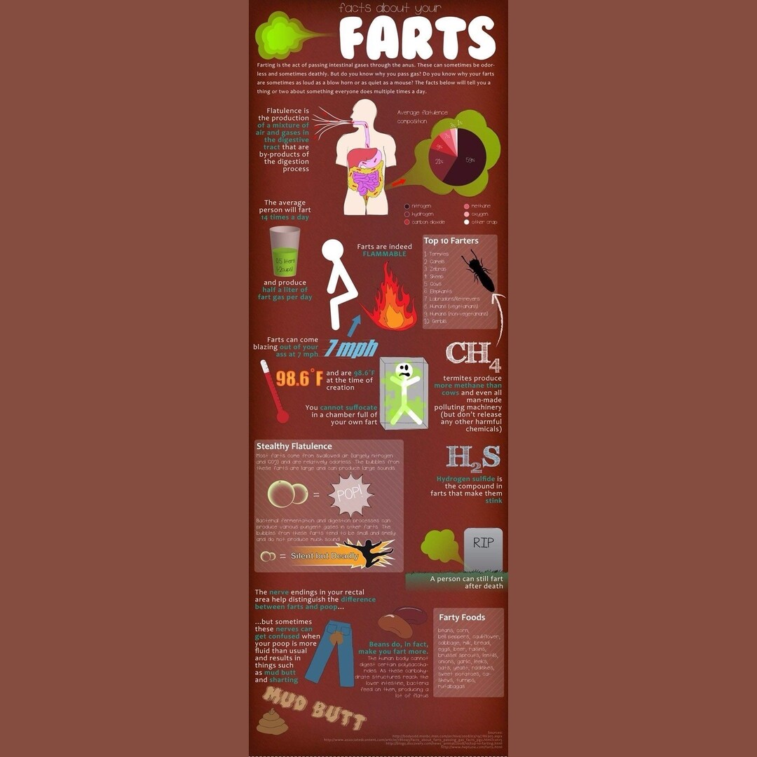 Fart facts